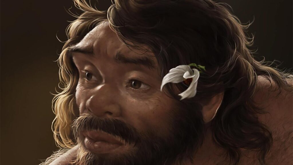 Fossilized Skull Challenges Established Human Evolution Timeline ...