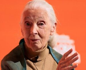 Jane Goodall, Renowned Scientist and Conservationist, Dies at 89 ...