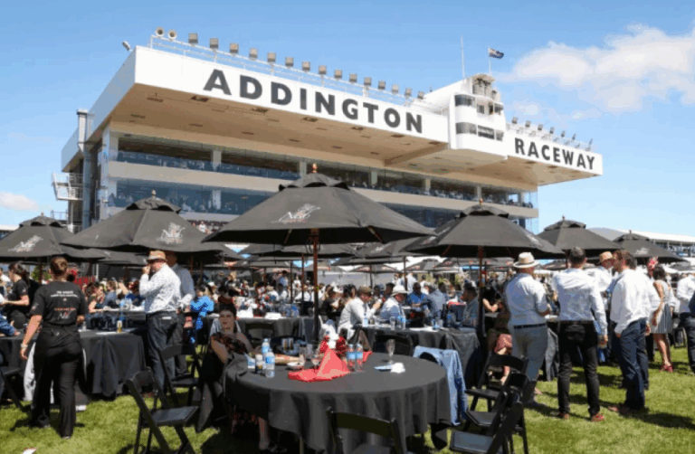 Kingman Triumphs in New Zealand Trotting Cup at Addington - OULIANNEWS