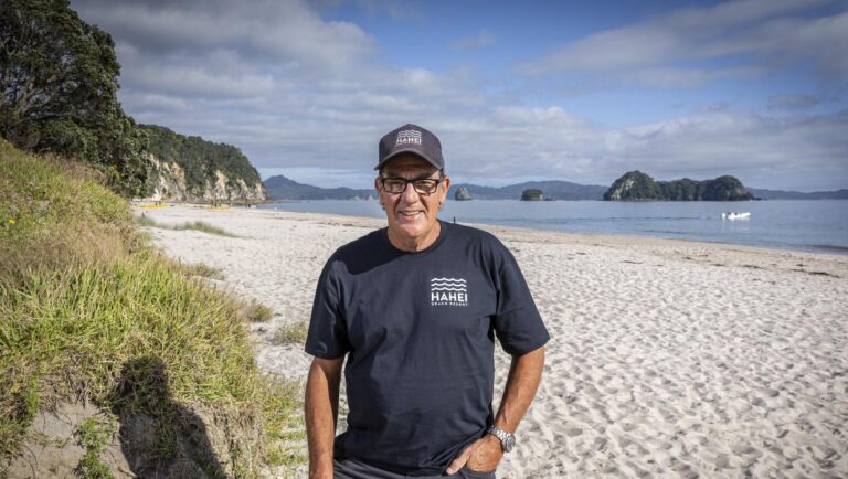 Hahei Beach Resort Thrives as Camping Destination for a Decade - OULIANNEWS