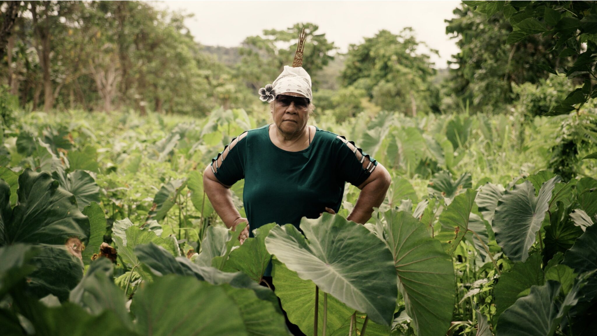 Forrester Gallery to Enhance Accessibility with Major Upgrades - OULIANNEWS