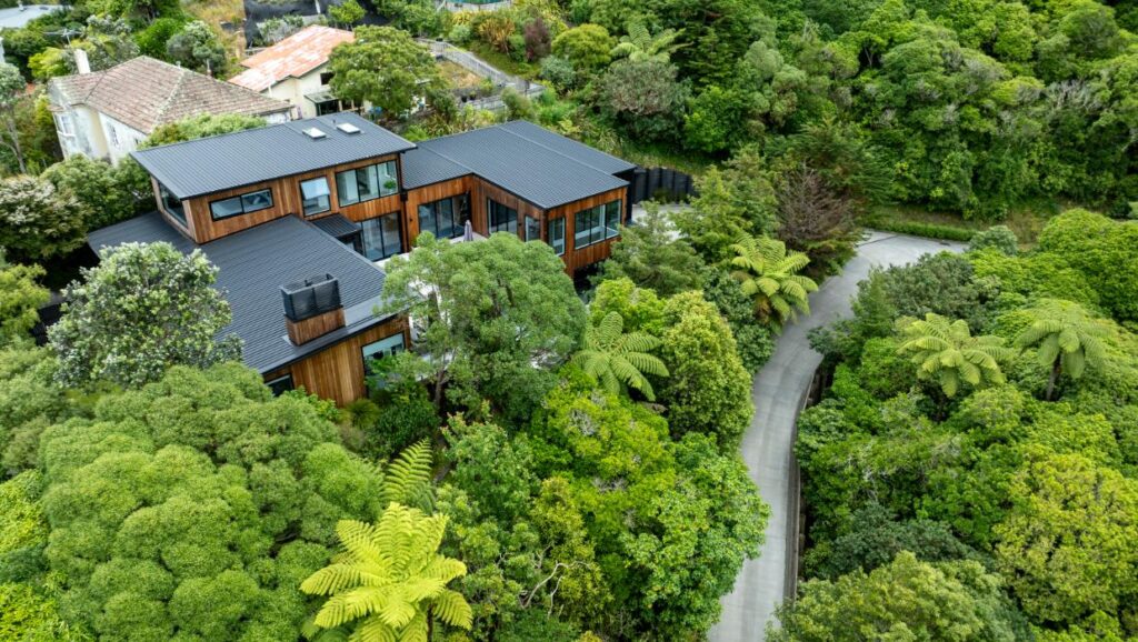 Unique Home in New Zealand Features Stunning Glowworm Walk - OULIANNEWS